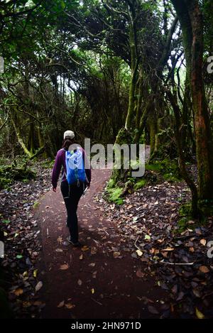 Young adventurous woman exploring Poas Volcano National Park in Costa ...