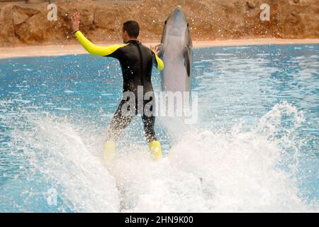 happy man swim with dolphin in dolphinarium Stock Photo - Alamy