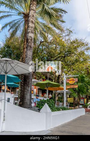 Hard Rock Cafe in Key West Florida - KEY WEST, UNITED STATES - NOVEMBER ...
