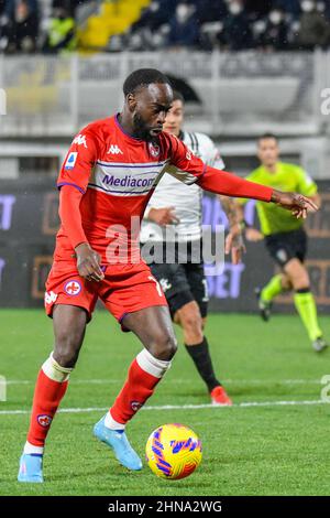 La Spezia, Italy. 14th Feb, 2022. Fiorentina's Jonathan Ikone' during ...