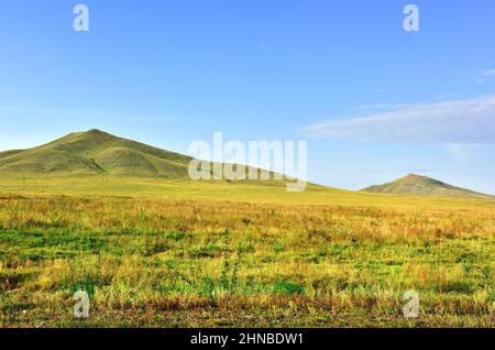 Yellow grass at the foot of the conical hills in summer under a blue ...