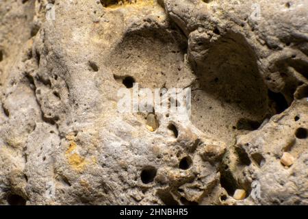Limestone is a type of carbonate sedimentary rock isolated on white ...