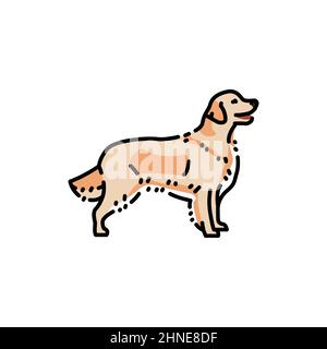 Golden retriever color line icon. Dog breed Stock Vector Image & Art ...
