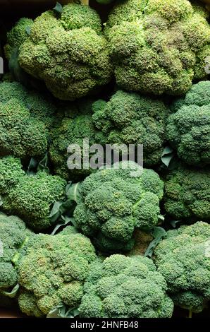 Bunch of fresh, raw broccoli crowns Stock Photo - Alamy