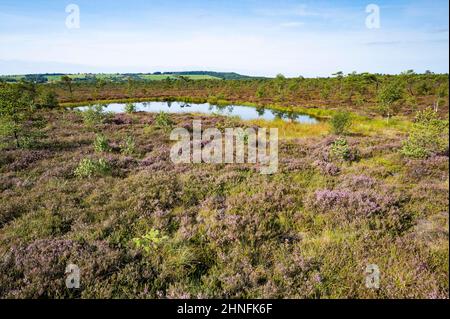 Black bog, with bog eye or bog scour, Rhoen Biosphere Reserve, Bavaria ...
