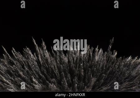 A reaction of iron dust to a magnetic field of a strong neodymium ...