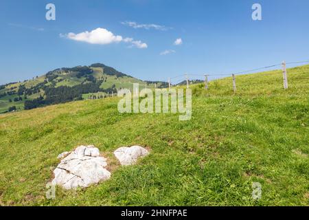Summer day with sunshine with view of the Faehnerenspitze, Alps ...