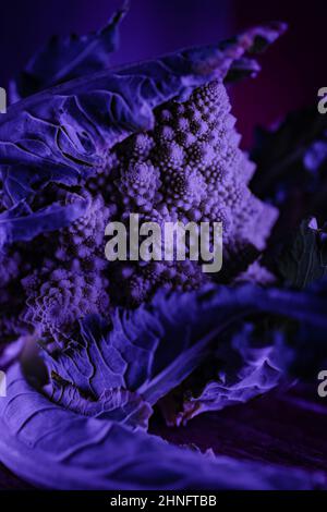 Cabbage in vibrant purple colors. Modern food concept Stock Photo - Alamy