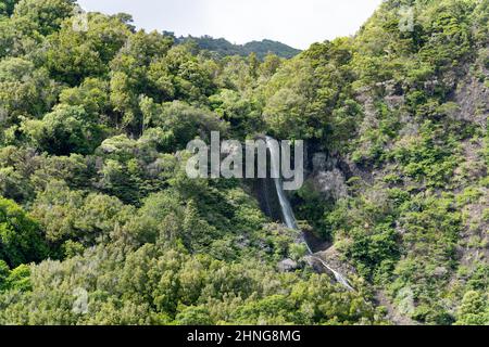 Scenic Waihirere Falls and bush off route 35 around east coast of North ...