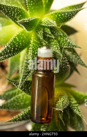 Bottle of aloe juice and leaves on light background Stock Photo - Alamy