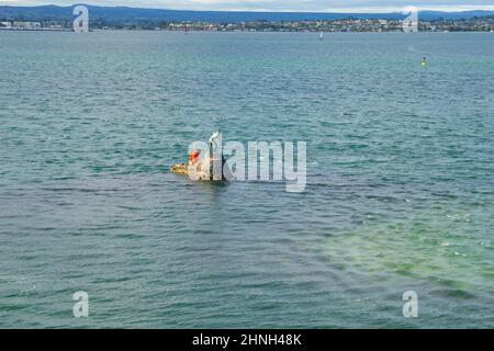 Tangaroa, mythical God of the Seas, statue framed by twisted branches of pohutukawa trees on ...