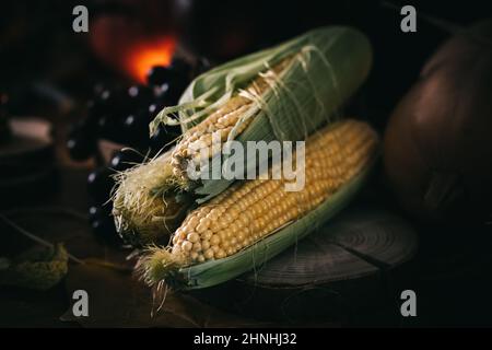 Raw corn in autumn setting, nice soft light. Autumn mood and colors ...