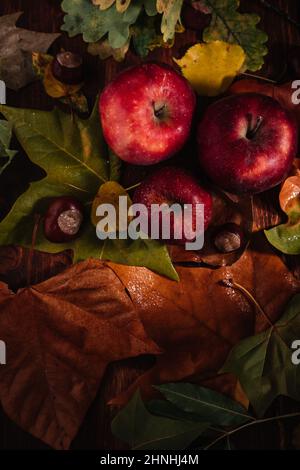 Glass of Cider in moody autumn atmosphere with Dabinett apple in ...