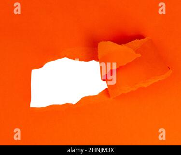 ragged textured paper with rolled edge on orange background Stock Photo ...
