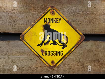 Monkey crossing sign Stock Photo - Alamy