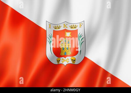 Tlaxcala state flag, Mexico waving banner collection. 3D illustration ...