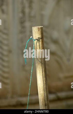 Close-up of nail and fine thread, nailed on wooden pile Stock Photo - Alamy
