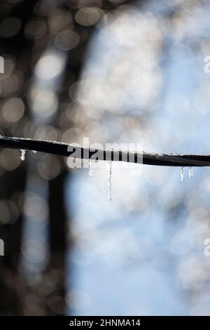 Ice covering a powerline in front of a tree on a pretty blue day Stock ...