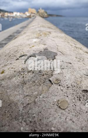 Detail of old cement dam on a beach in Spain Stock Photo - Alamy