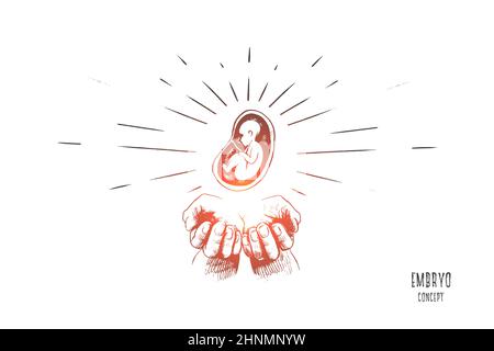 Embryo concept. Hand drawn hands with embryo. Symbol of protection of ...