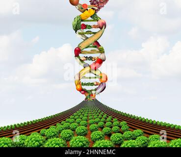 GMO food and Genetically modified crops or engineered agriculture ...