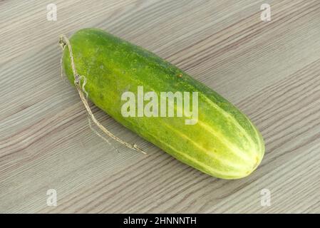 large gherkin separated to get seeds, seed gherkin Stock Photo - Alamy
