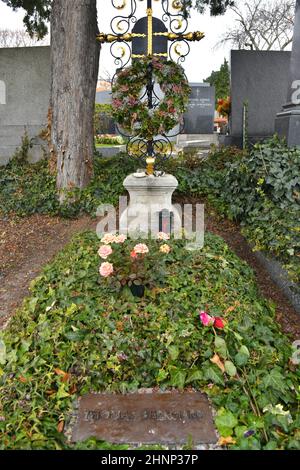 Grab des Schriftstellers Thomas Bernhard auf dem Friedhof Grinzing in ...