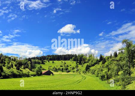Fields and meadows are enclosed by hills covered with trees Stock Photo ...