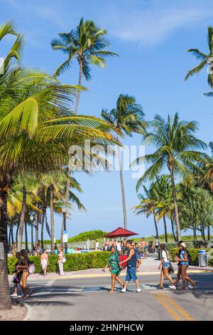 People walk along the beach in Okhotsk, Sakhalin, Russia. September ...
