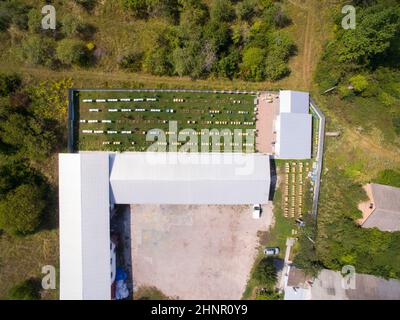 Aerial view of the Great Apiary. Industrial beekeeping with honey bees ...