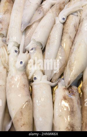 whole fresh calamares are offered in the fish market in asia Stock ...