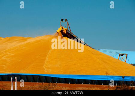 Grain Storage in Open Bulkhead Stock Photo - Alamy