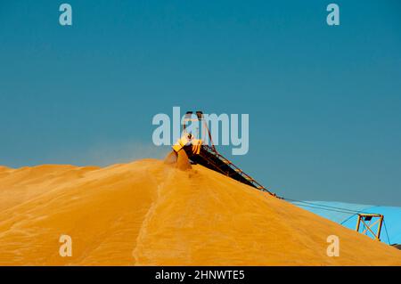 Grain Storage in Open Bulkhead Stock Photo - Alamy