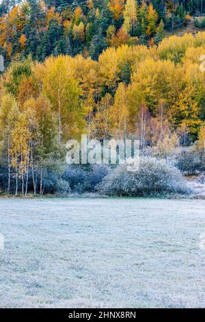 autumn landscape in central Provence, France Stock Photo - Alamy