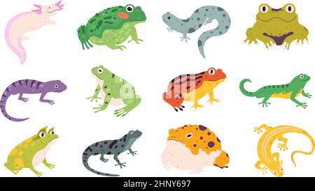 Tropical amphibian. Different frogs and lizards breed, toad and ...