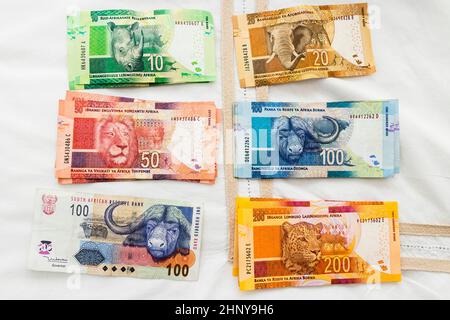 South African colorful banknotes money. Back with BIG Five animals ...