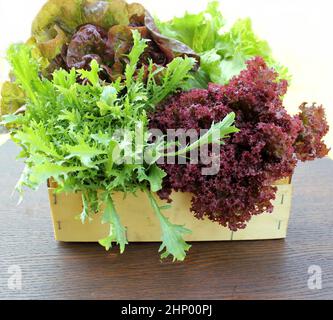 Big head lettuce green fresh in farm Stock Photo - Alamy