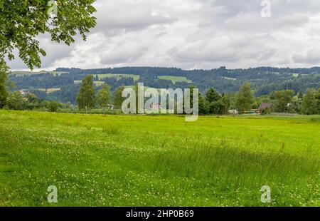 Idyllic scenery around Immenstadt, a town in the Upper Allgaeu in ...