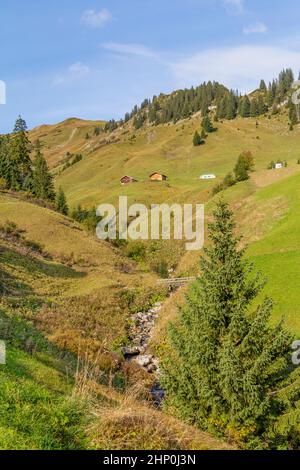 Idyllic scenery around Warth, a municipality in the district of Bregenz ...