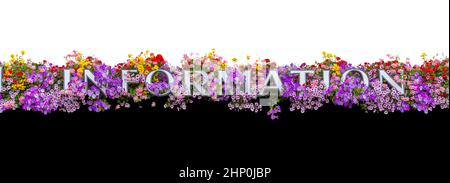 Information lettering framed by colorful flowers, partly isolated in ...