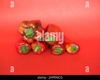 red peppers (scientific name Capsicum aka bell peppers) vegetables ...