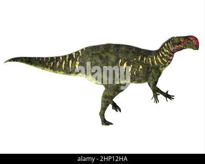 Altirhinus Kurzanovi was an ornithopod iguanodont dinosaur, It lived in ...