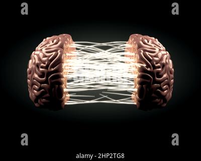 A concept showing a human brain split into two hemispheres and joined ...