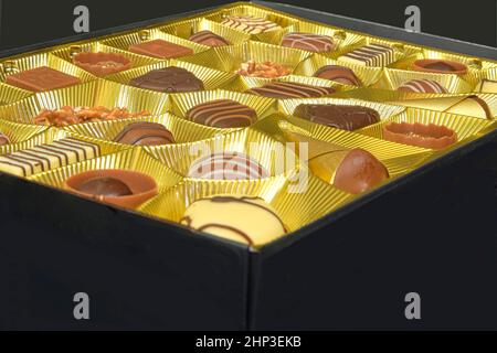 Different chocolate pralines. Box of belgian pralines of different ...
