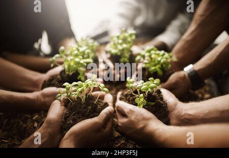 Lets plant our future together. Cropped shot of a group of people ...