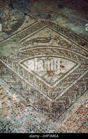 Mosaics at Brading Roman Villa, Brading, Isle of Wight, England, United ...