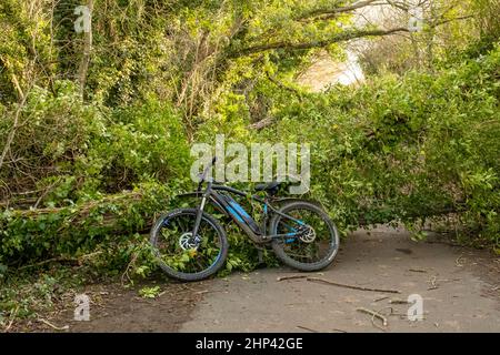 Blocked Cycle path with fallen trees on Hadrians Cycleway - Route 72 ...
