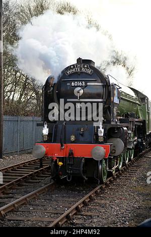 Newly built steam train, Tornado, crossing the Royal Border Bridge at ...