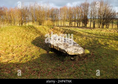 Minninglow is an archaeologhical site in the Peak District National ...