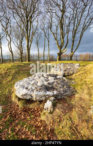 Minninglow is an archaeologhical site in the Peak District National ...